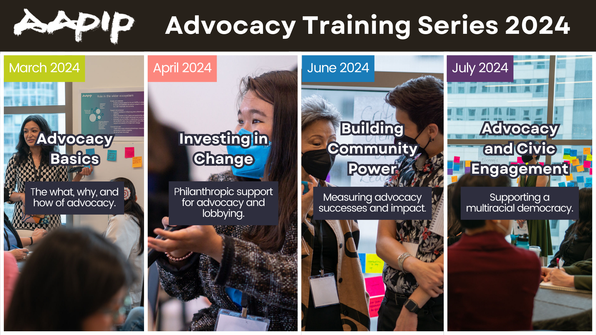 Advocacy Training Series - AAPIP Website